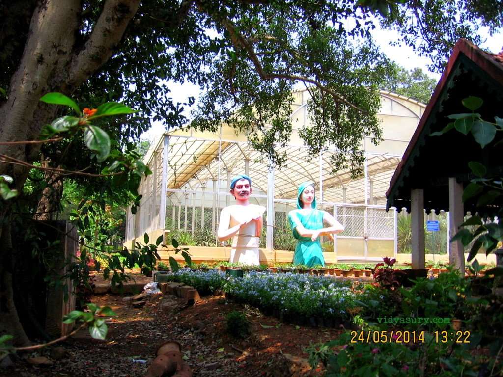 Making Time to Smell the Flowers at Lalbagh Botanical Gardens | Vidya ...