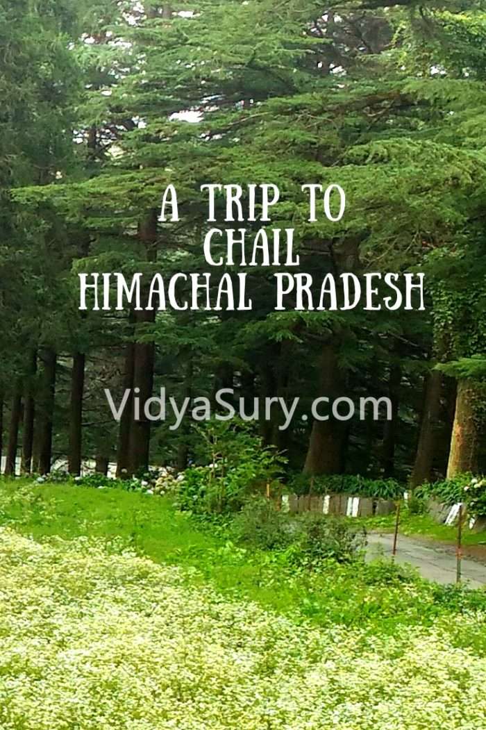 A trip to Chail, Himachal Pradesh | Vidya Sury, Collecting Smiles